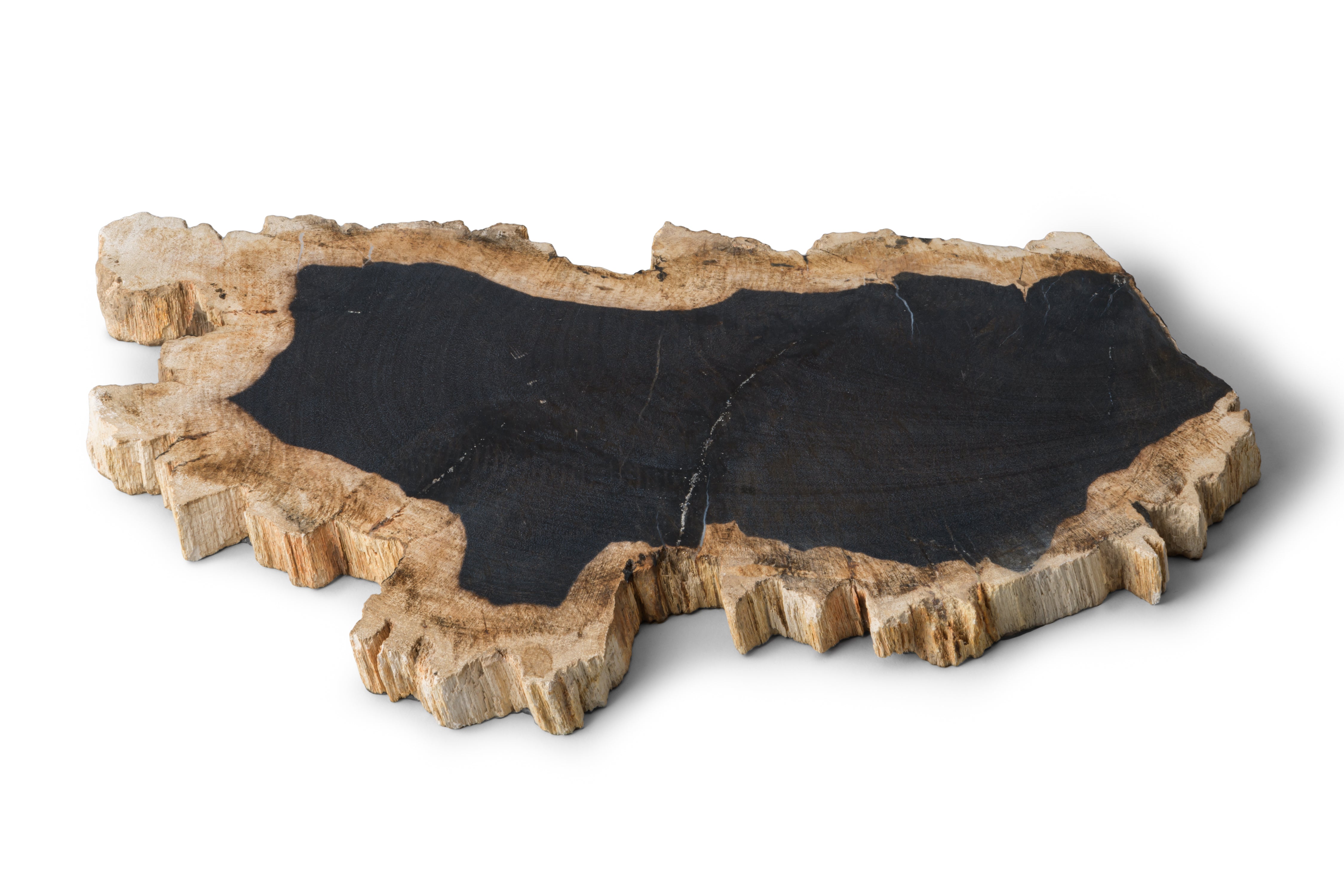 Petrified Wood -Wood Plate-